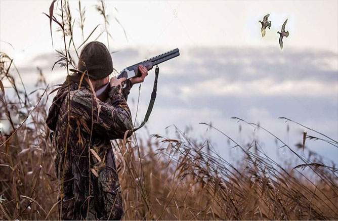 Hunting in Poland – Jagdreisen Fabrig